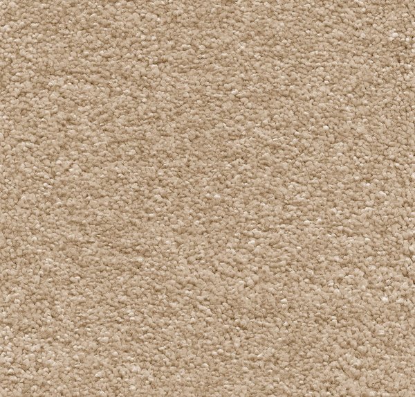 Orion Blanched Almond - 50oz Invictus Carpet – JEM Carpets